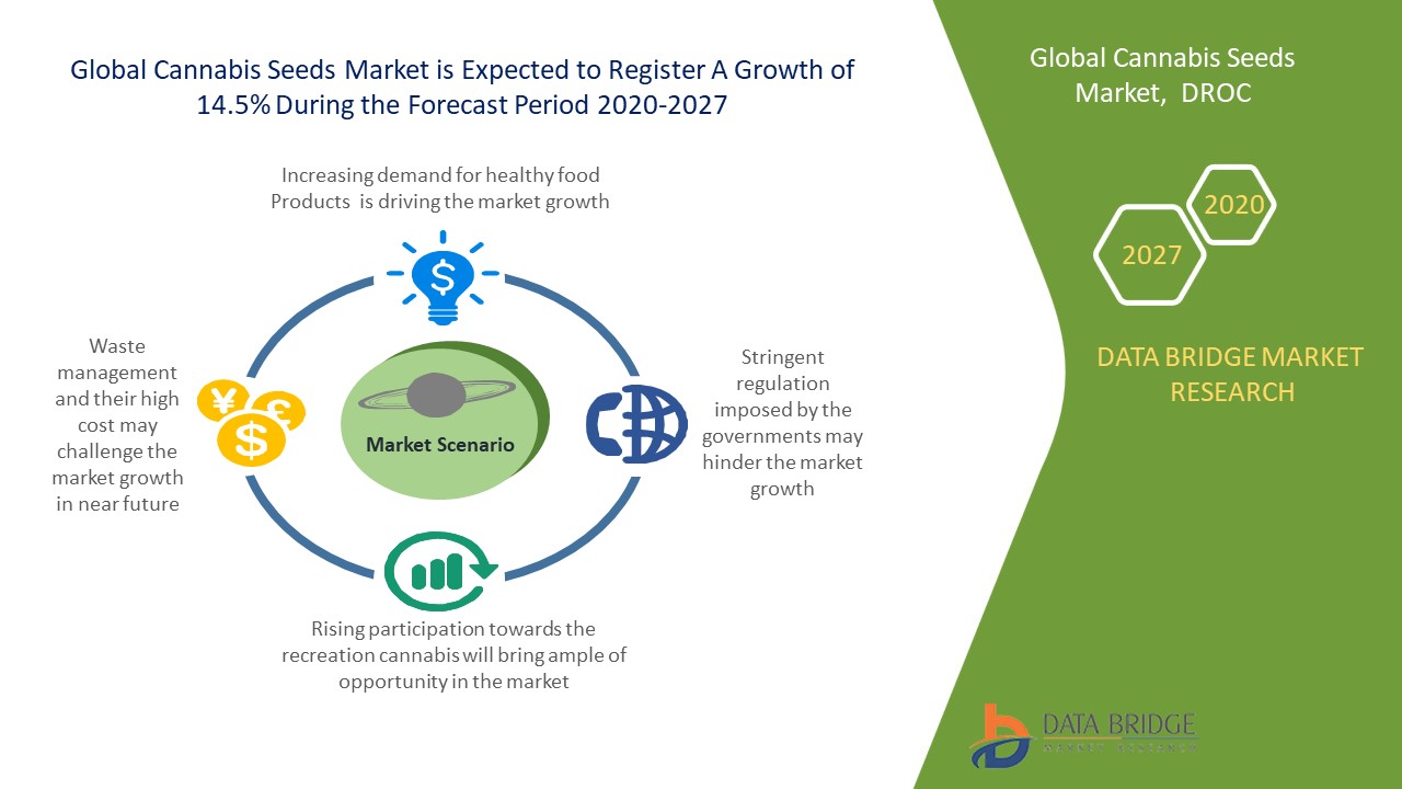 Global Cannabis Seeds Market Research Report, Future Demand and Growth ...