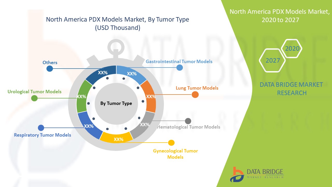 North America PDX Models Market Report – Industry Trends and Forecast ...