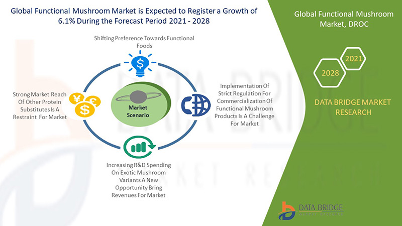 Functional Mushroom Market marvelous to Grow at 6.1% till 2028