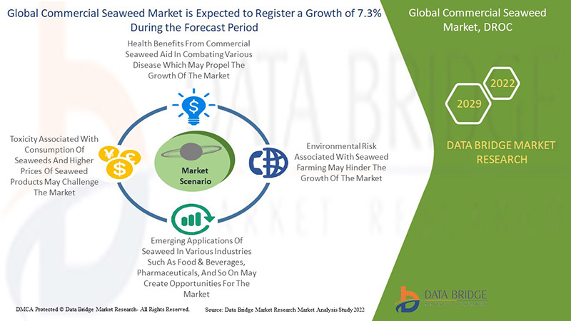 Commercial Seaweed Market Opportunities, & COVID-19 Impact | 2029