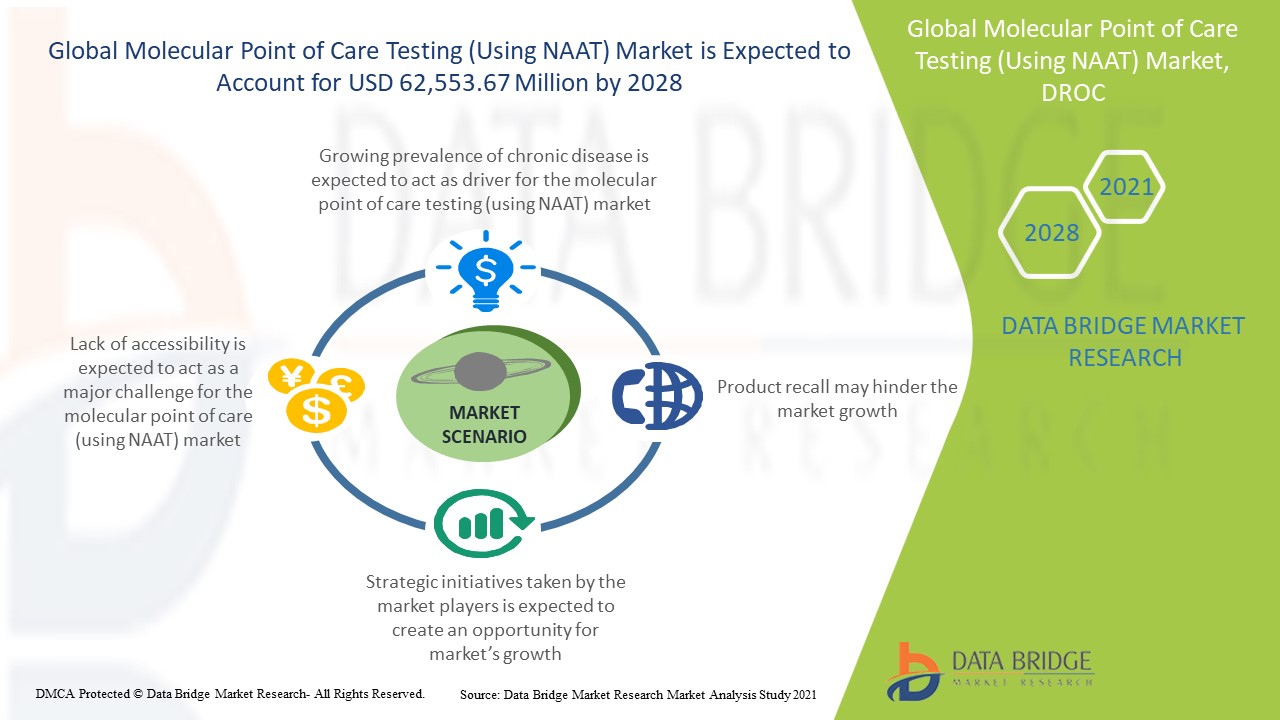 Molecular Point Of Care Testing Using Naat Market Segmentation Scope And Analysis By Forecast