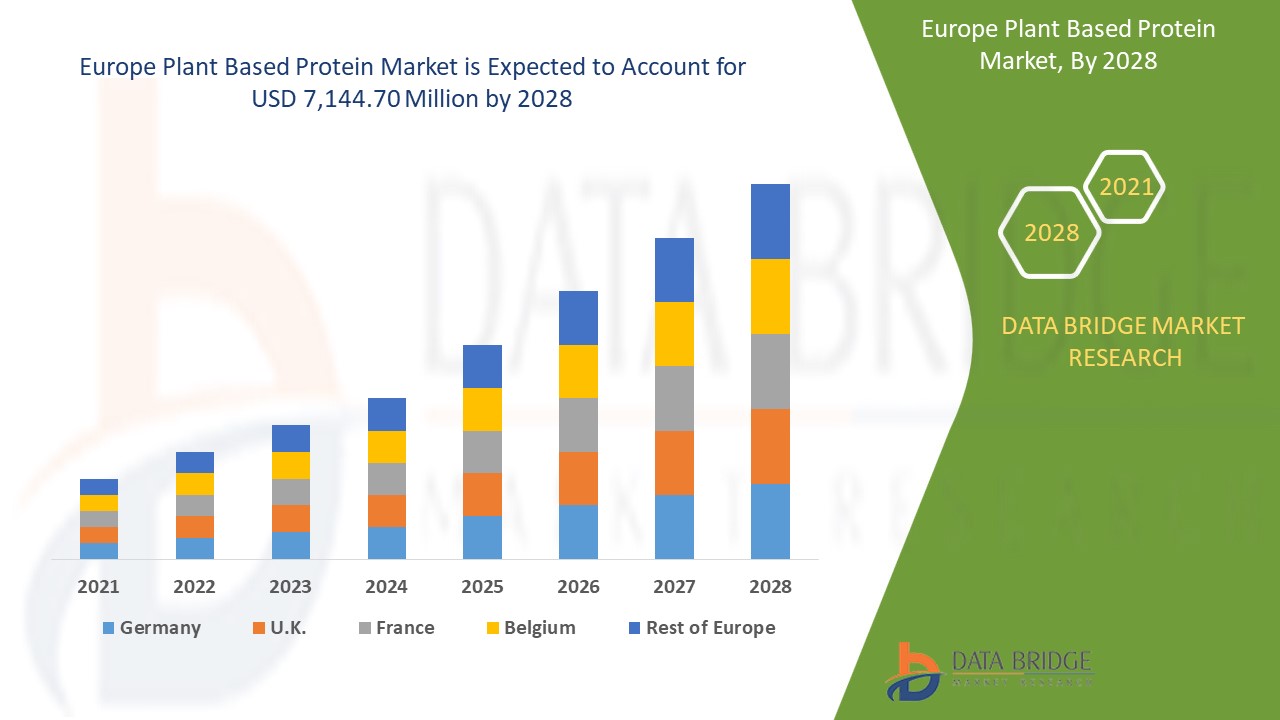Europe Plant Based Protein Market Report – Industry Trends and Forecast ...