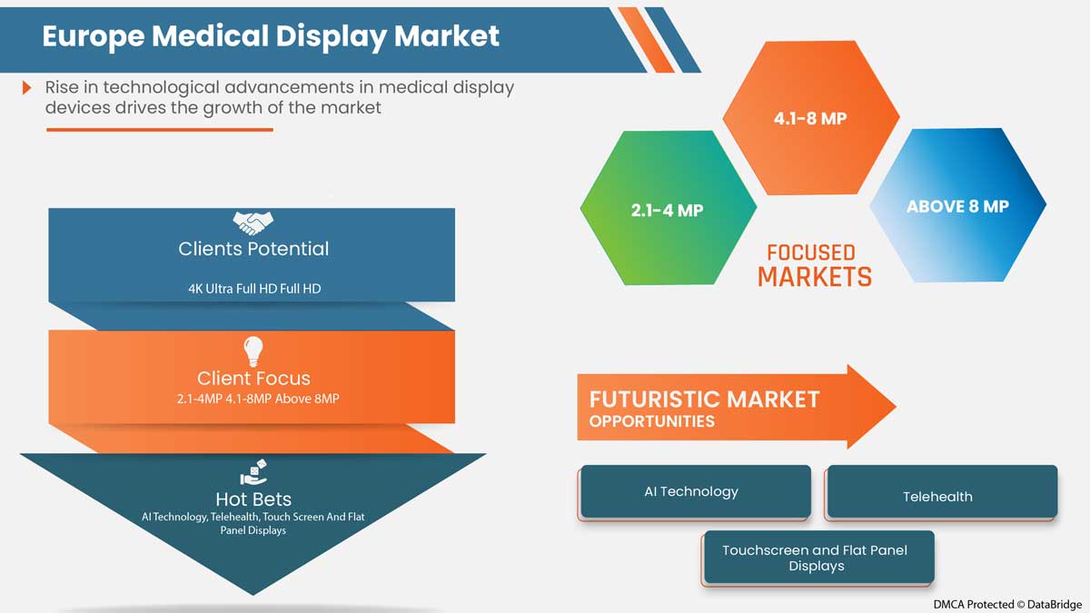 Europe Medical Display Market Report – Industry Trends and Forecast to ...