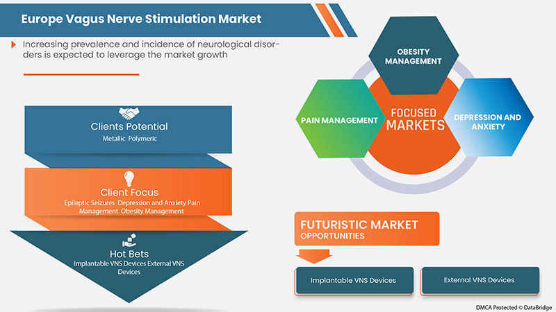 Europe Vagus Nerve Stimulation Market Outlook by 2029