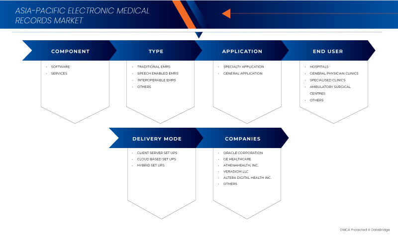 Europe Electronic Medical Records (EMR) Market Size, Trends, Growth ...