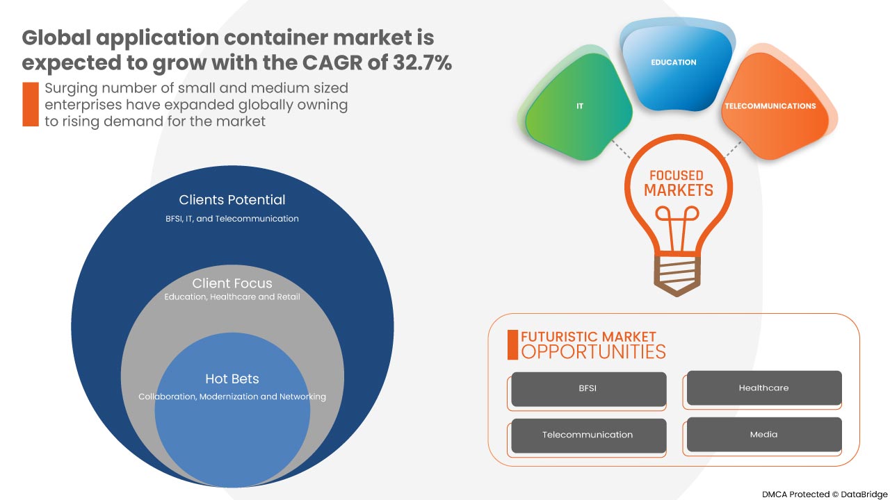 Application Container Market Growth Rate & Industry Overview to 2030