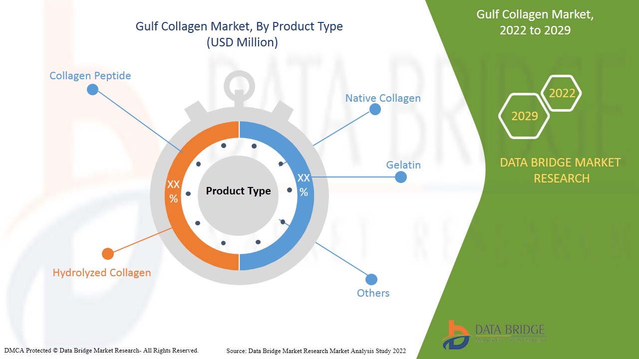 Gulf Collagen Market Size, Share & Growth Opportunities By 2029