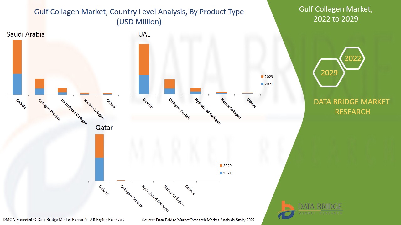 Gulf Collagen Market Size, Share & Growth Opportunities By 2029