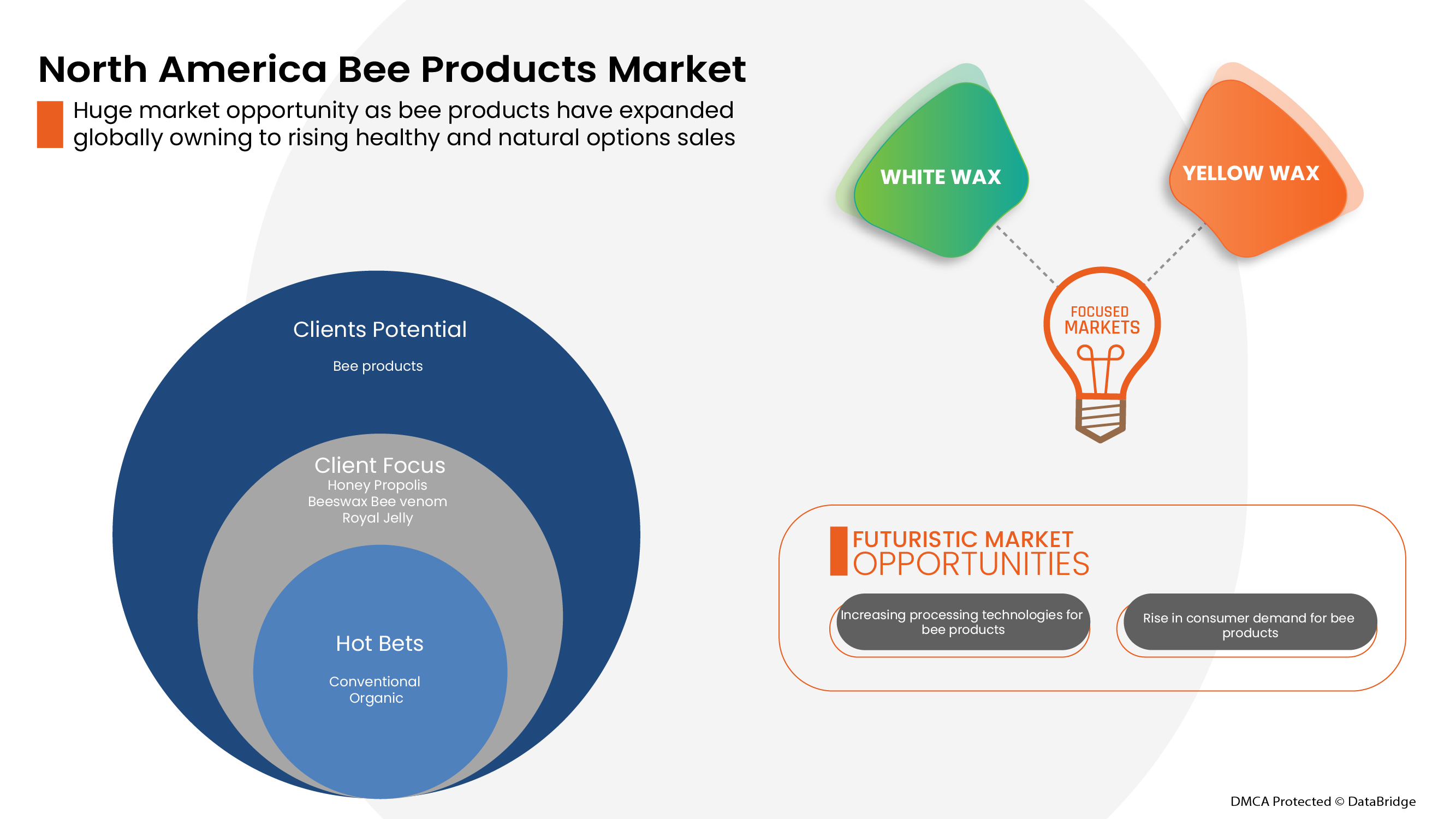 North America Bee Products Market Definition, Segmentation, Revenue ...