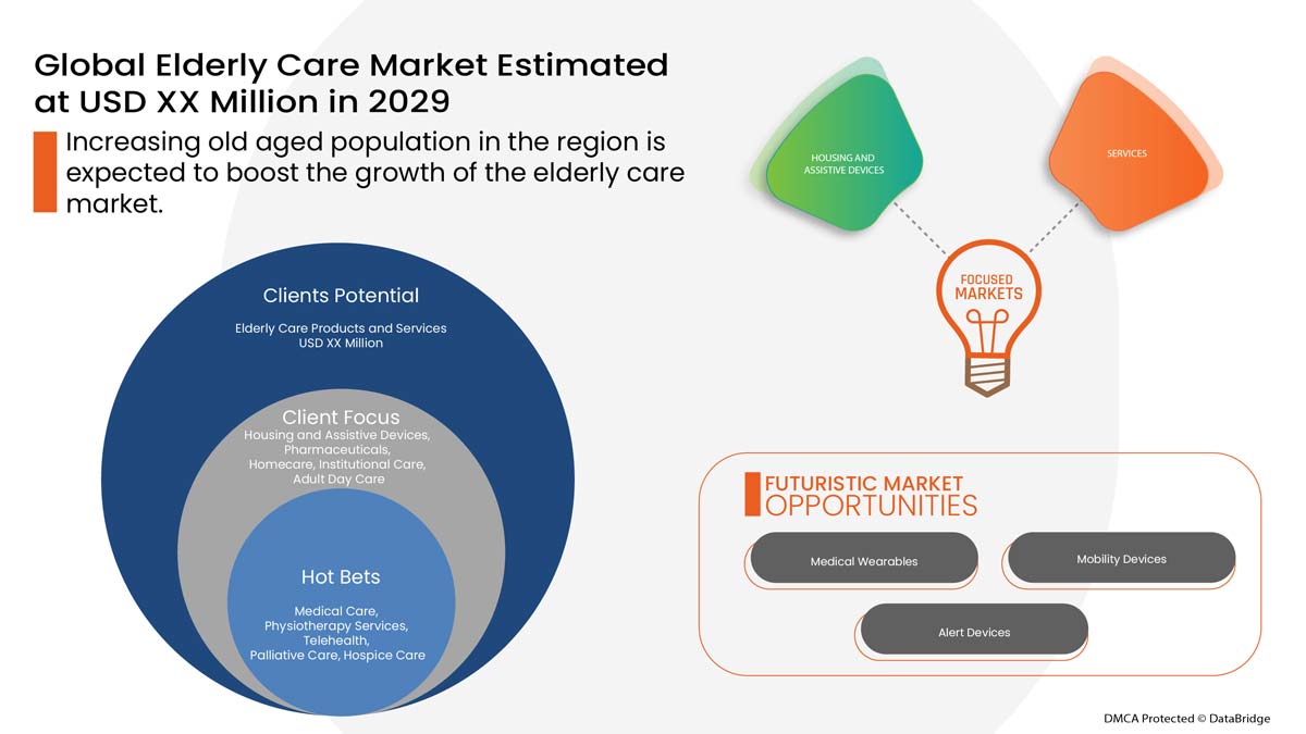 Elderly Care Market Size, Share, Opportunity & Industry Challenges by 2029