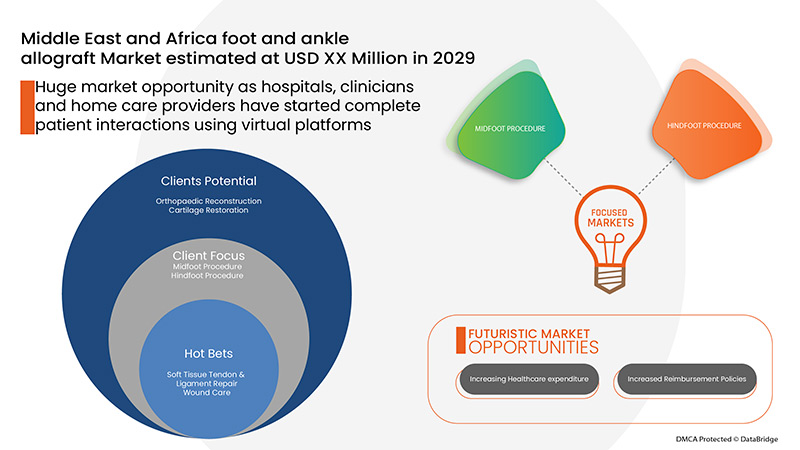 Middle East and Africa Foot and Ankle Allografts Market Size, Trends ...