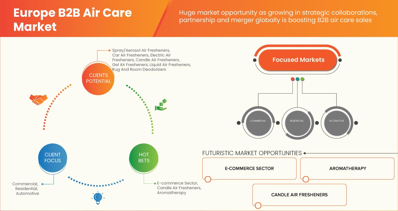 Europe B2b Air Care Market Value & Trends By 2030