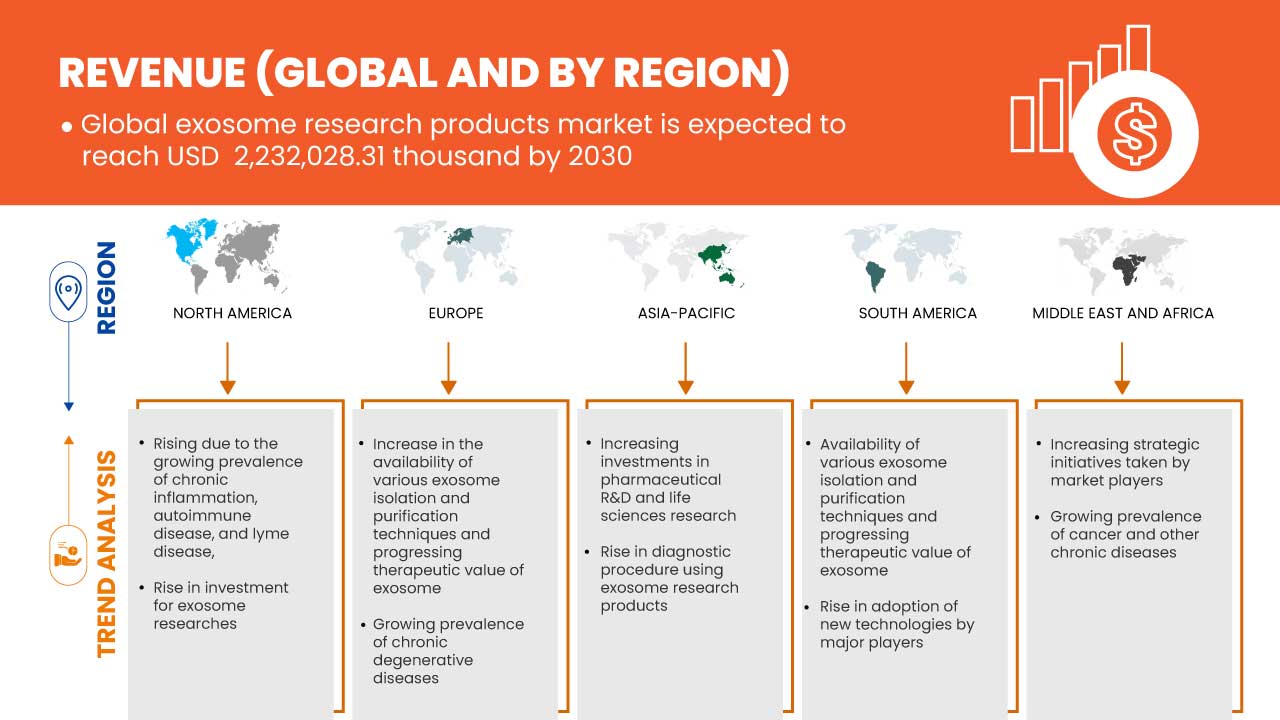 Exosome Research Products Market Size, Share Analysis & Trends To 2030
