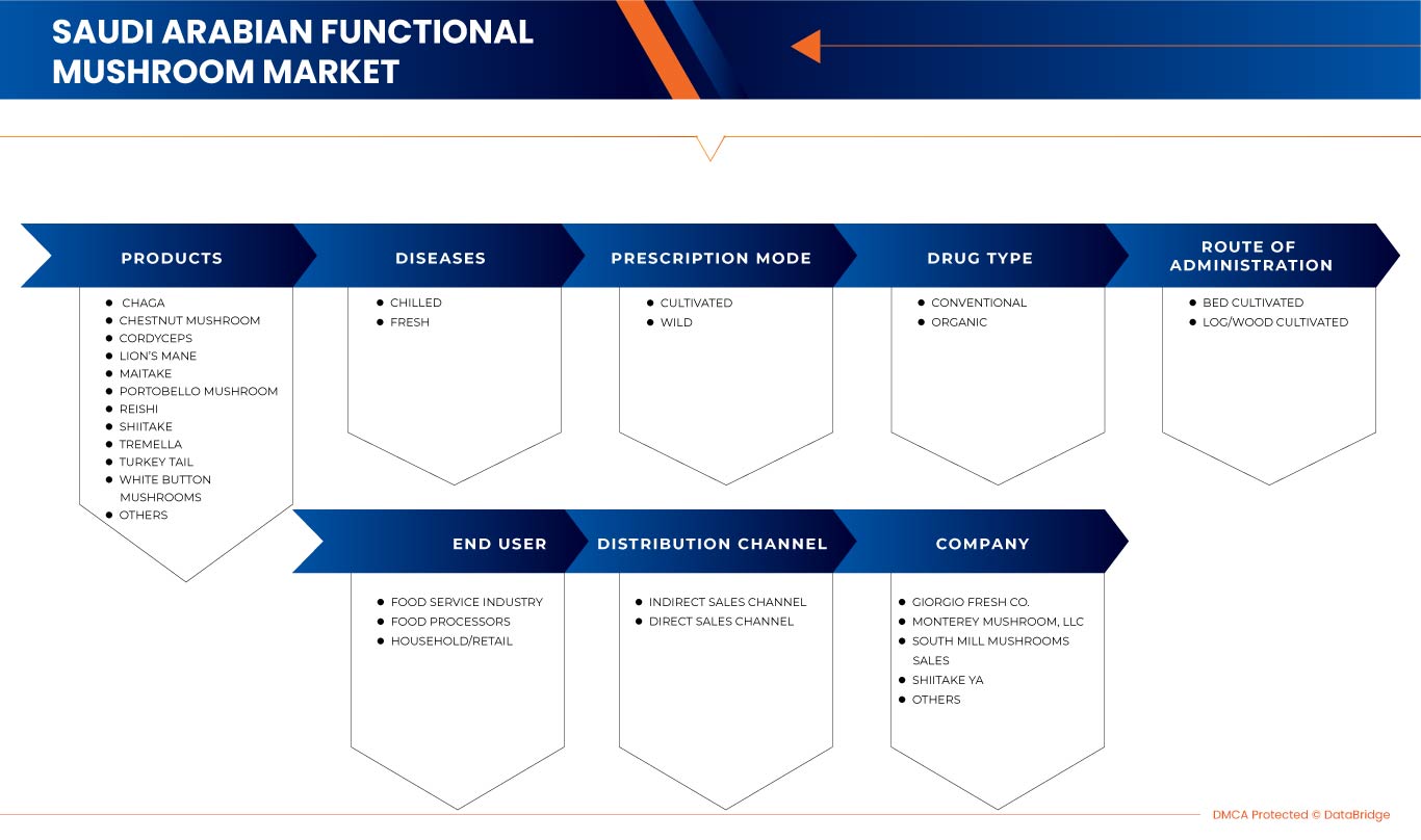 Saudi Arabian Functional Mushroom Market Report – Industry Trends and ...