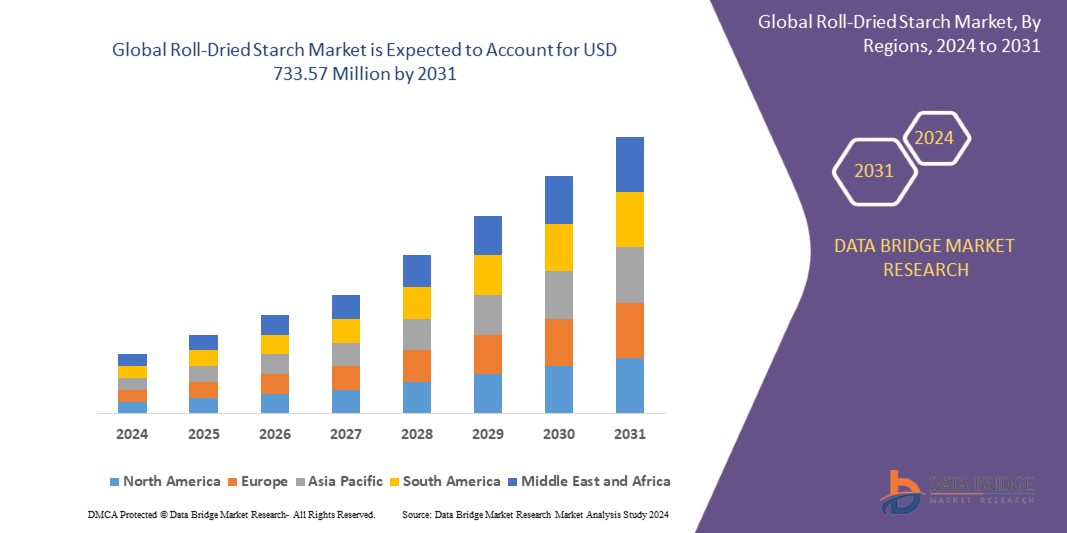 Roll-Dried Starch Market Size, Share, Trends & Future Scope By 2031